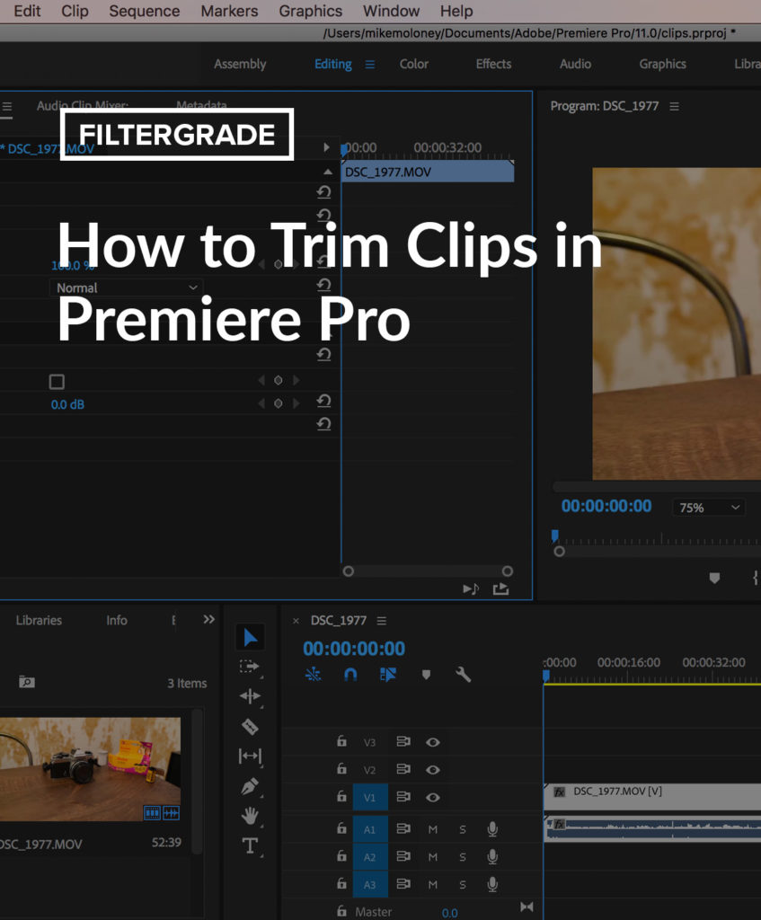 Cut Video In Premiere Pro How To Trim Clips FilterGrade