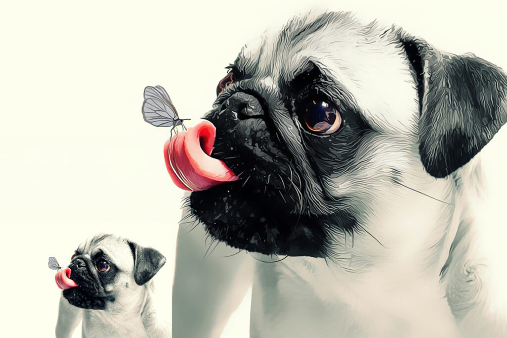 Cartoon Effect Photoshop Action Filtergrade