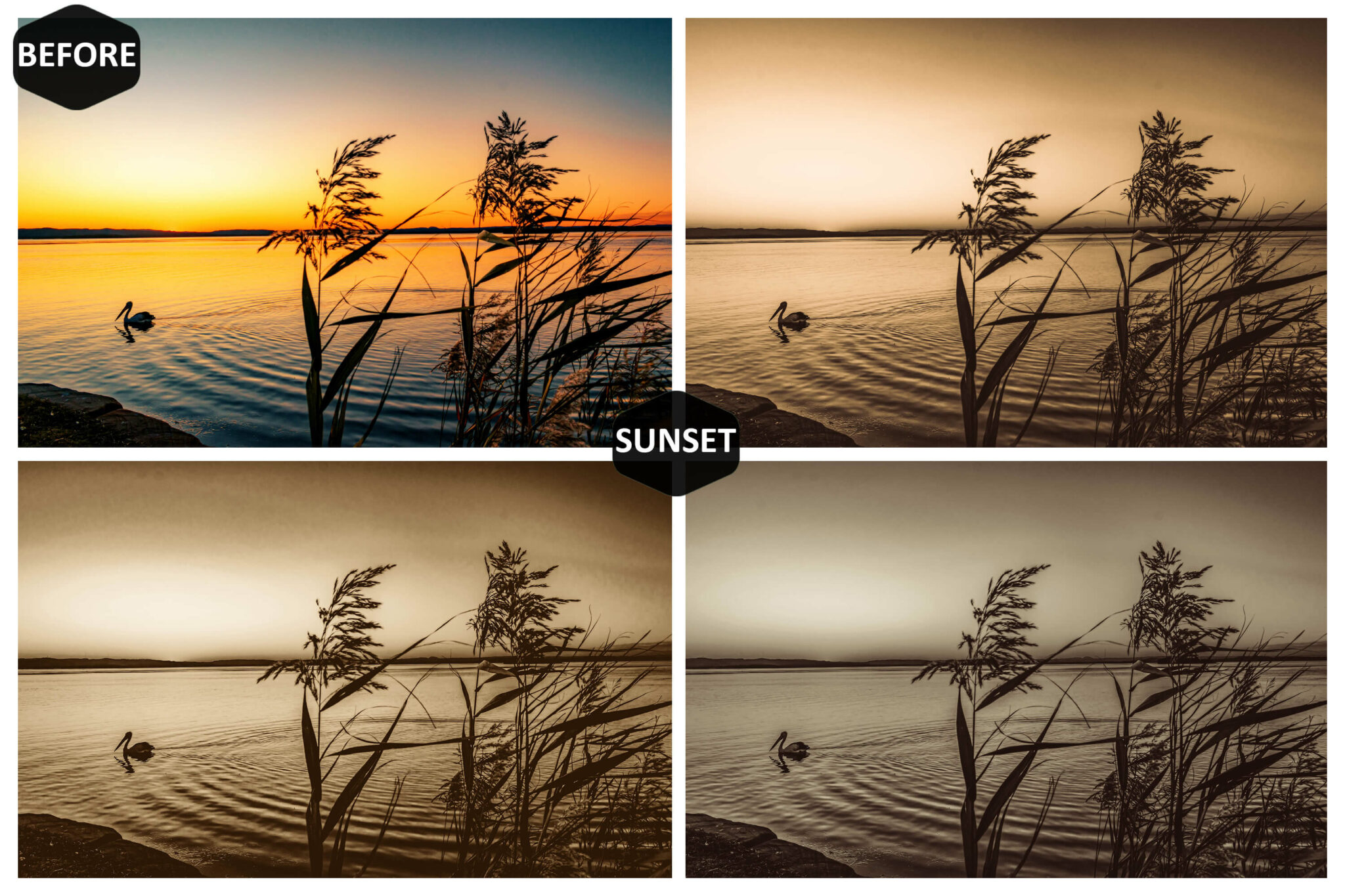 10 Sepia Effect Photoshop Actions And Acr Presets Filtergrade 