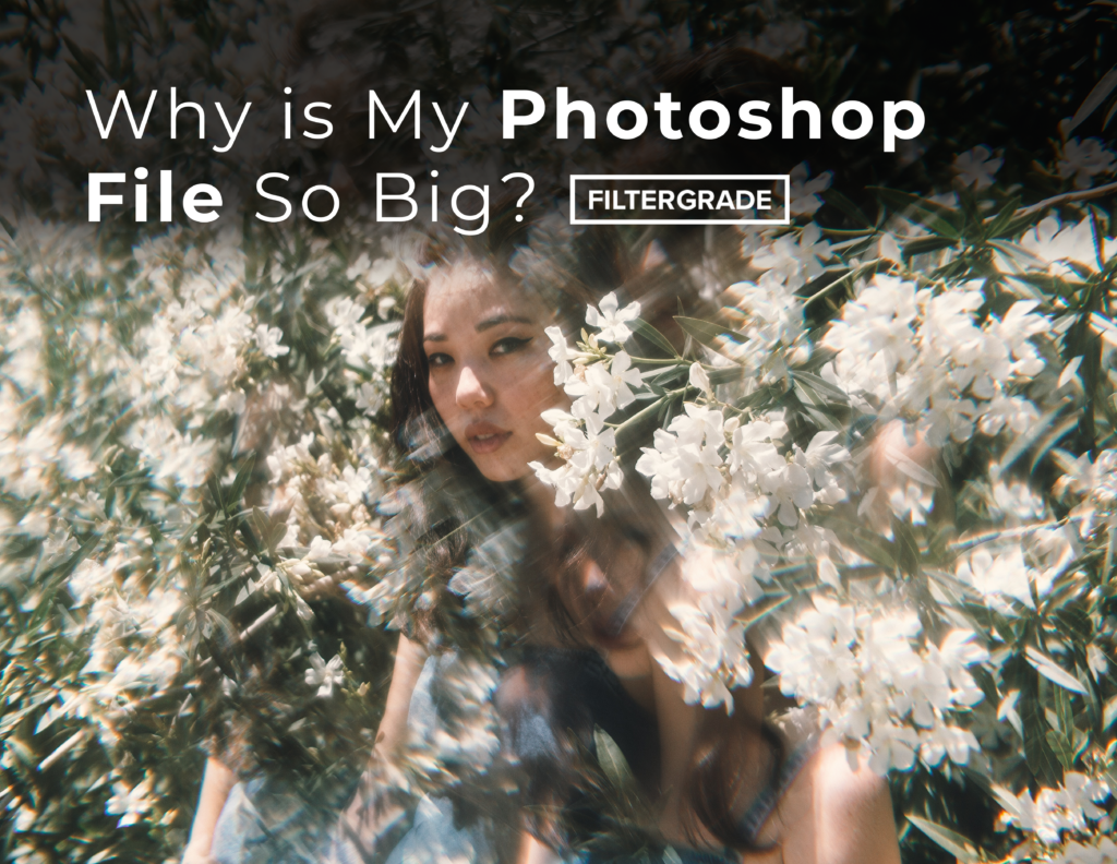 Why Is My PSD File So Big FilterGrade