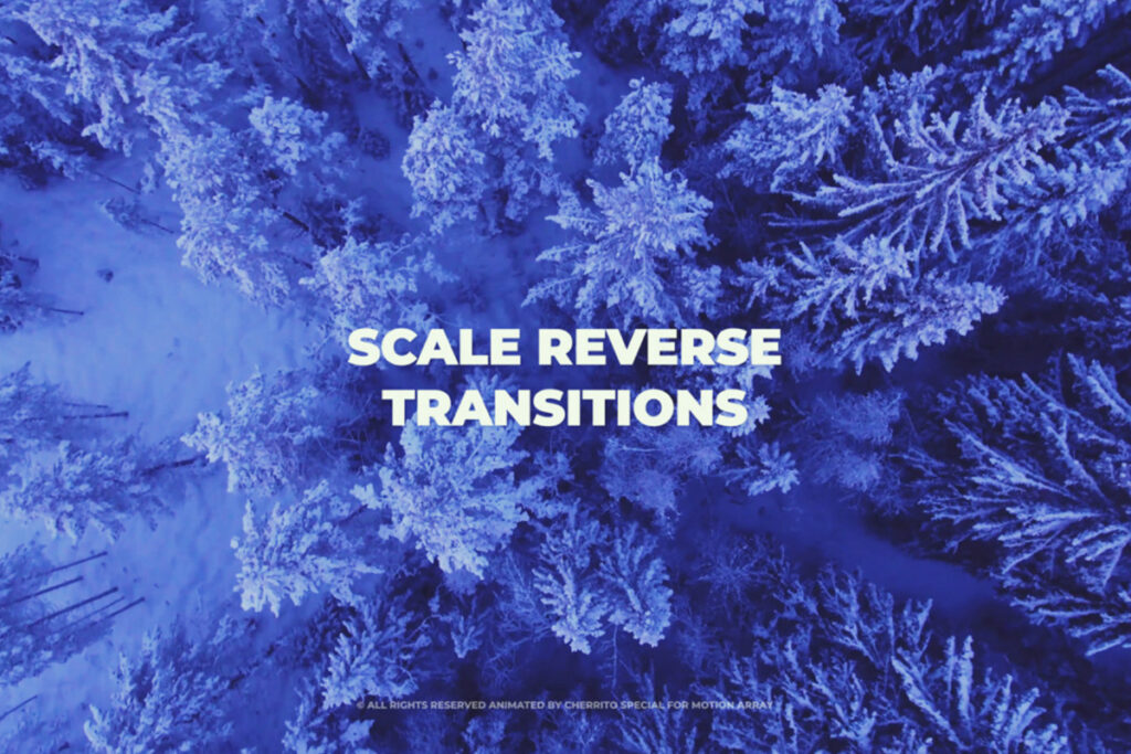 scale-reverse-transitions-premiere-pro-template-filtergrade