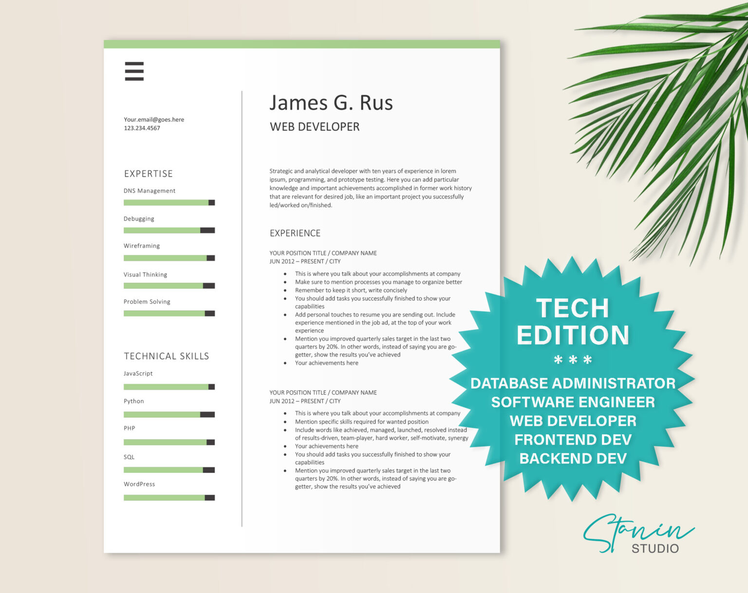Developer Resume Template Software Engineer Resume Web Dev Filtergrade