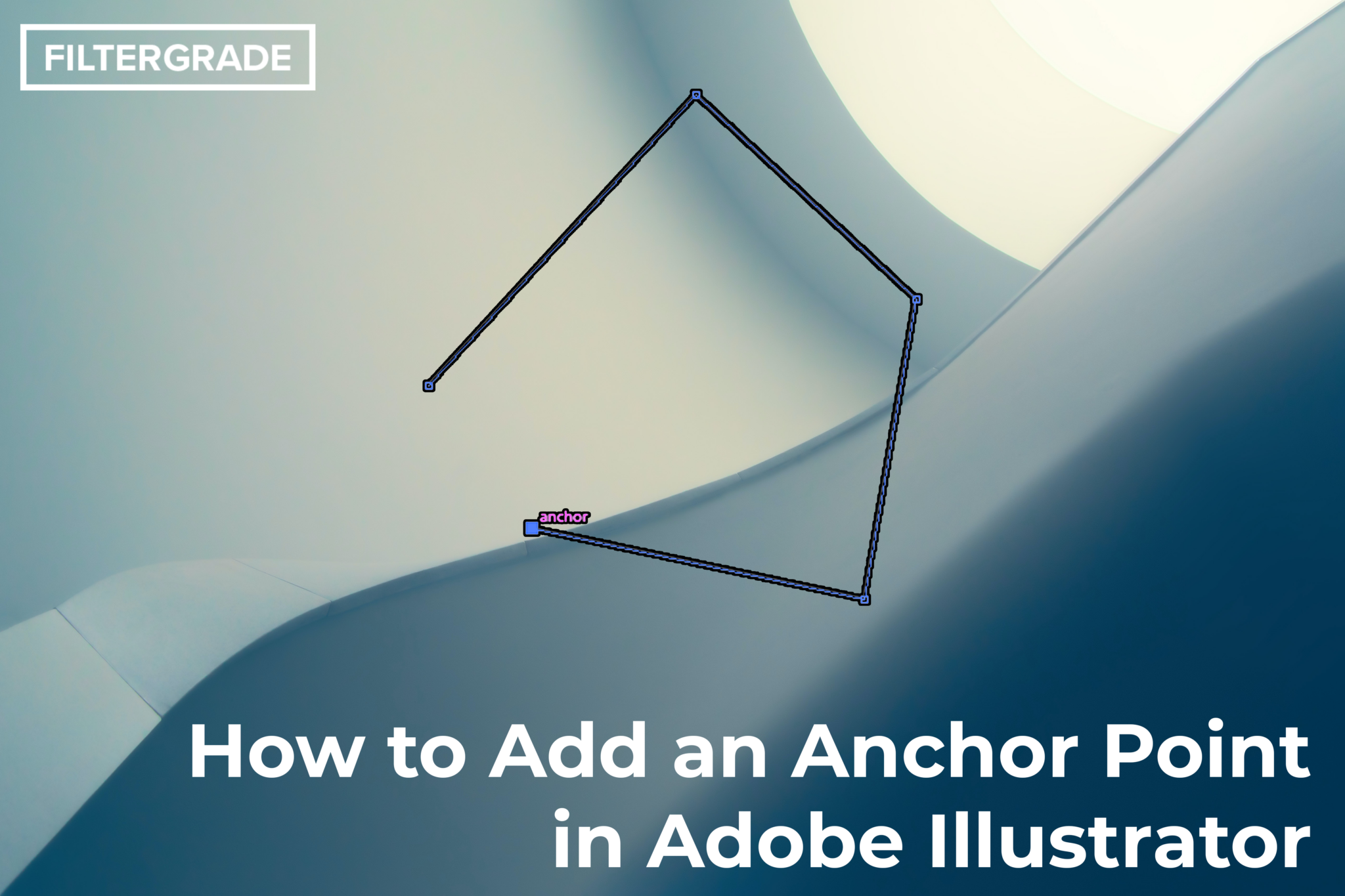 How To Add An Anchor Point In Illustrator FilterGrade